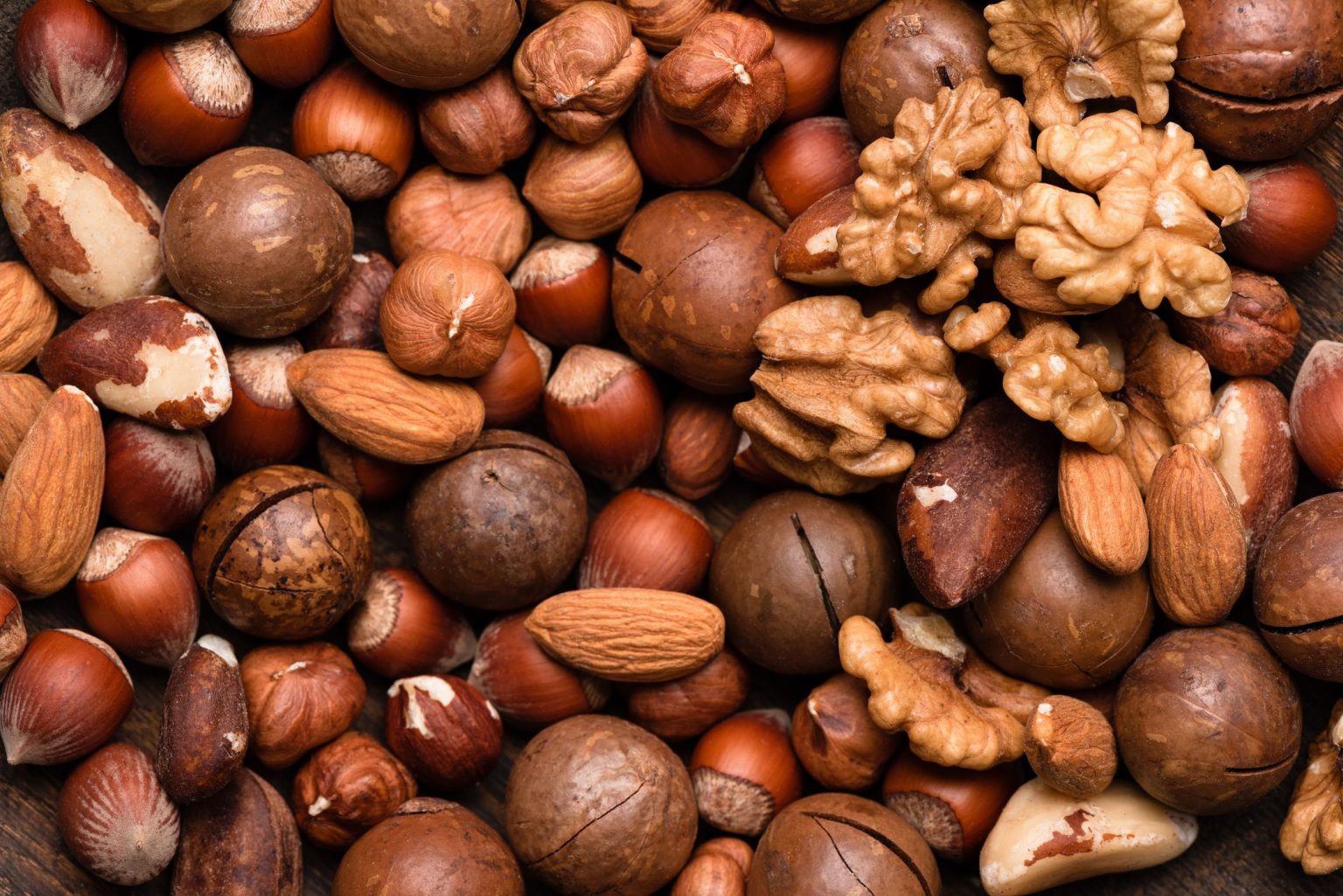 What Are Nuts? - stitchui.com